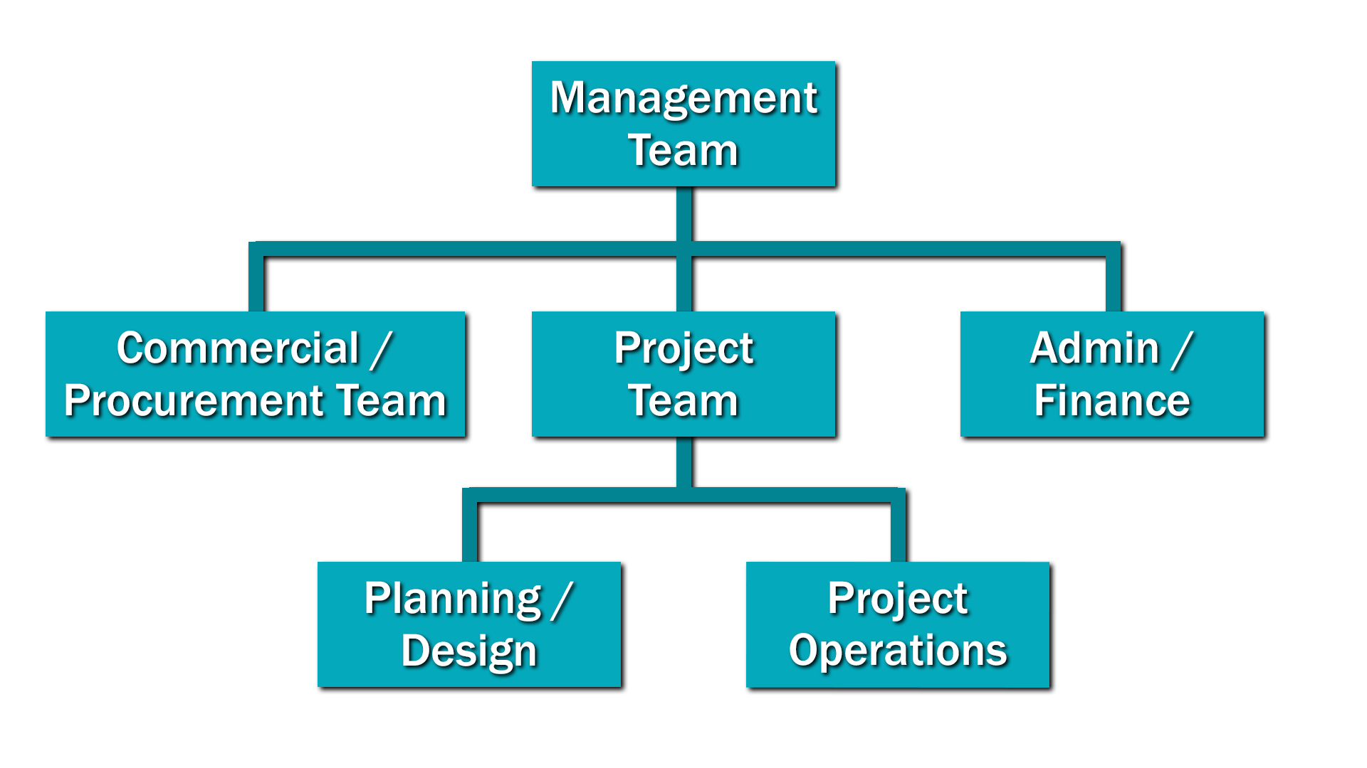 Our Organization Structure